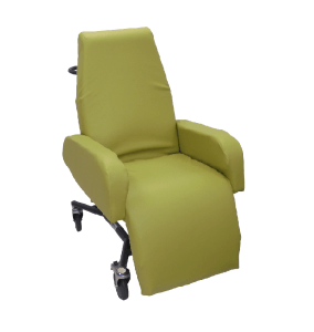 SERTAIN™ HILO Care Chair with NT Arm & Euro Back - Standard Size | Careleda