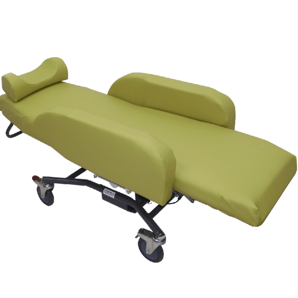SERTAIN™ HILO Care Chair with NT Arm & Euro Back - Standard Size | Careleda