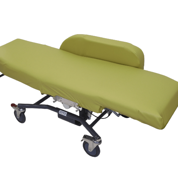 SERTAIN™ HILO Care Chair with NT Arm & Euro Back - Standard Size | Careleda